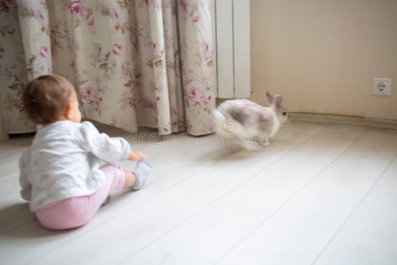 Adorable Baby Playing with Decorative Rabbit at Home Stock Photo ...