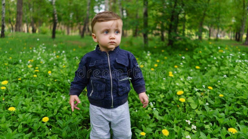 Adorable Baby in Spring Forest Stock Photo - Image of tree, forest ...