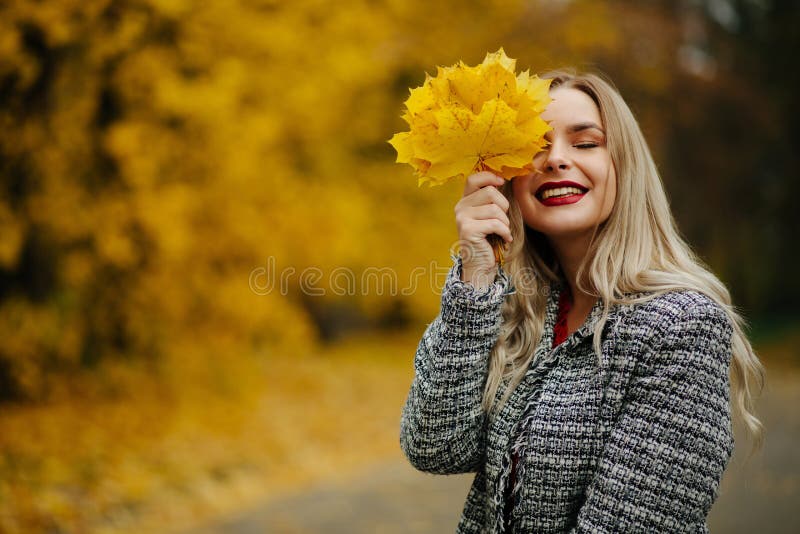 Adorable Blonde Model In Autumn Coat Holding Autumn Yellow Maple Stock