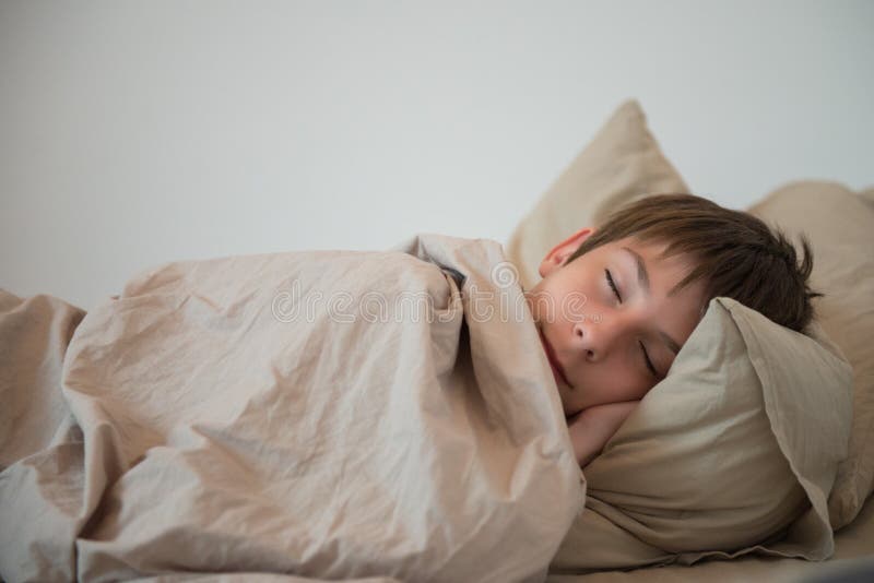 Adorable Boy Sleeping at Home. Healthy Child Sleep Stock Photo - Image ...