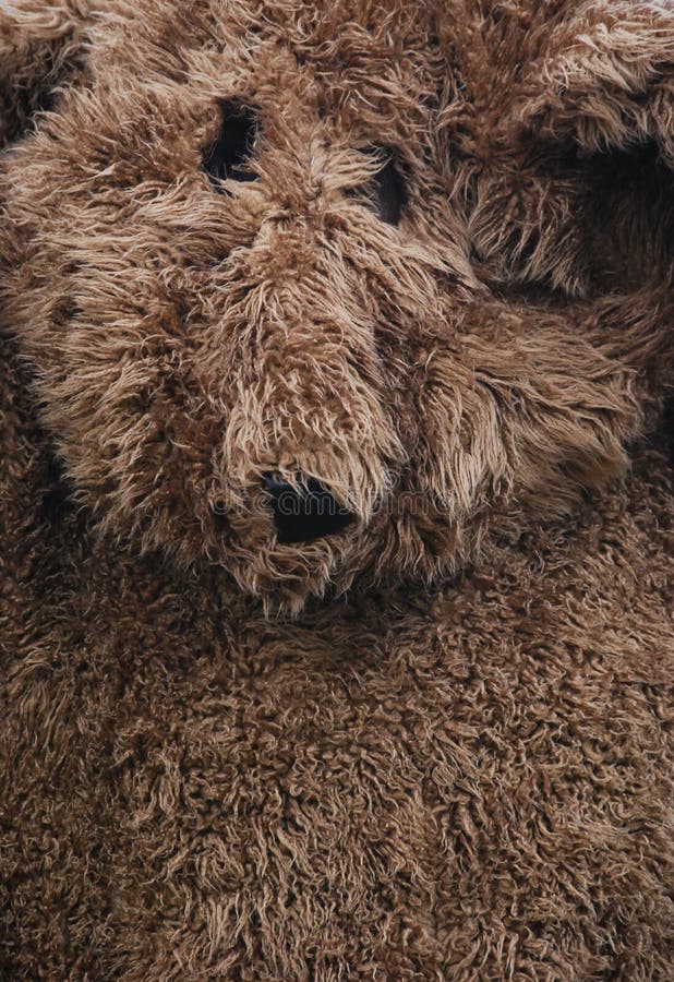 Adorable furry teddy bear stock image. Image of cute - 107187963