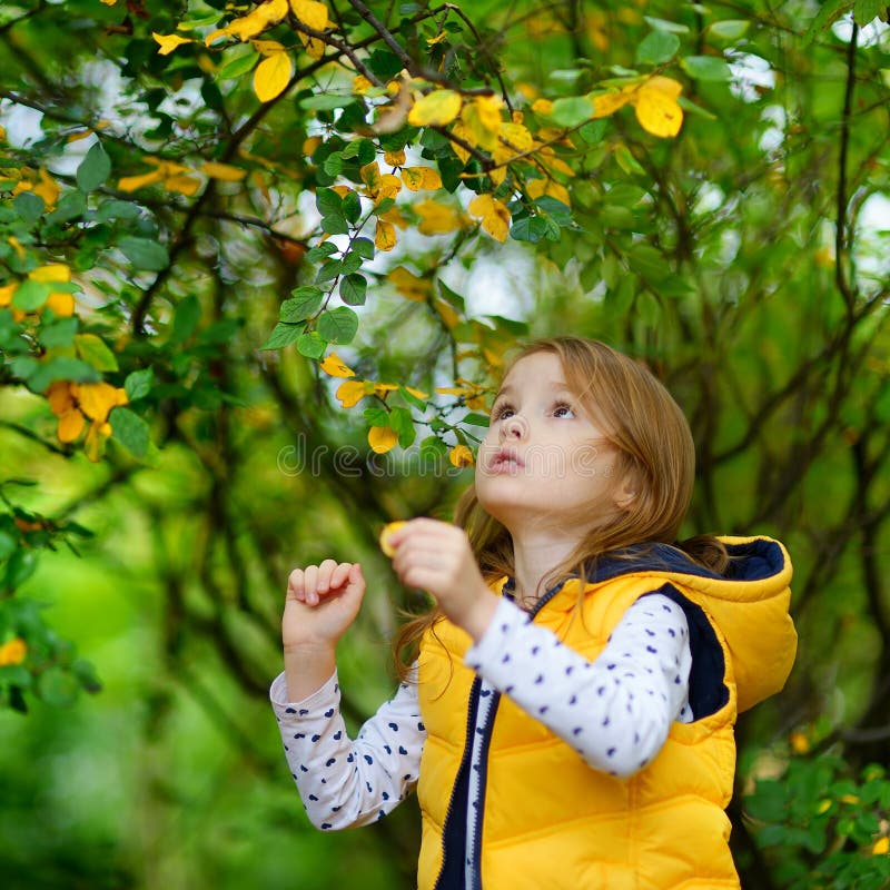 Adorable Girl Having Fun on Autumn Day Stock Image - Image of november ...
