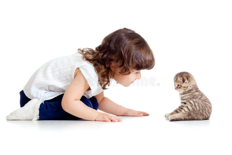 Adorable Kid Looking at Small Funny Cat Stock Photo - Image of british ...