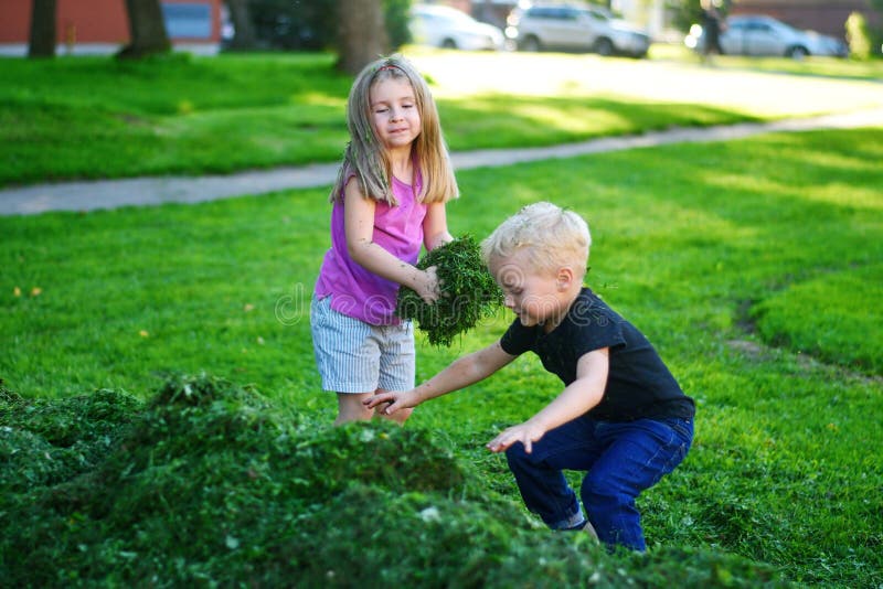 Adorable Kids Playing with Cutted Grass Stock Image - Image of nice ...