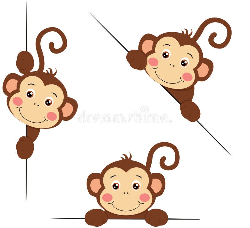 Adorable Monkey Peeking Out from Behind in Various Positions Stock ...