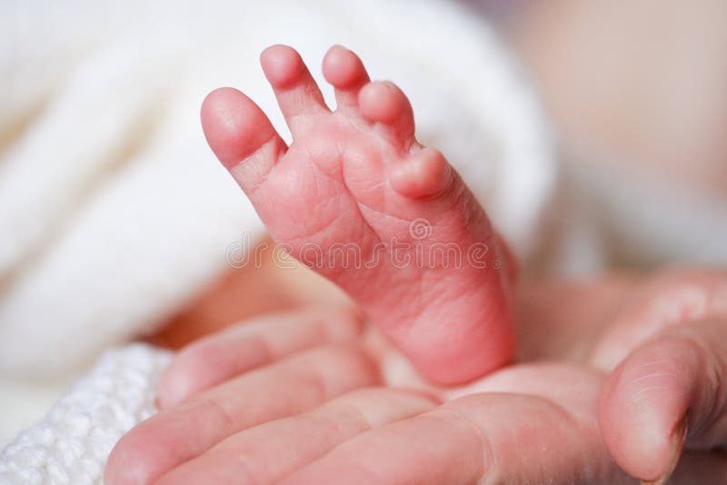 Adorable newborn baby feet stock image. Image of childhood - 13848361