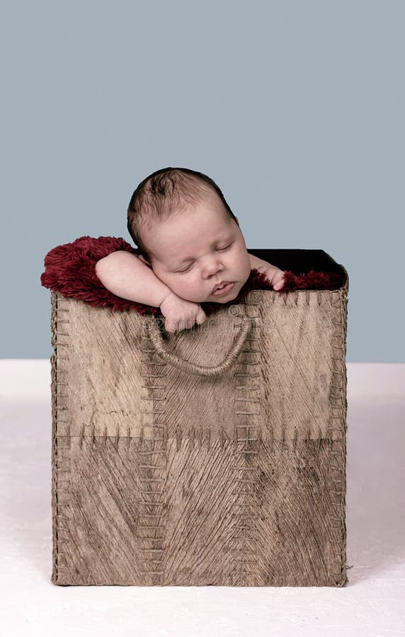 Adorable Newborn Sleeping Inside a Cardboard Box Stock Photo - Image of ...