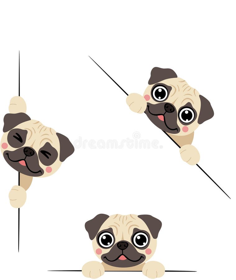 Adorable Pug Puppies Looking Over Borders Stock Vector - Illustration ...