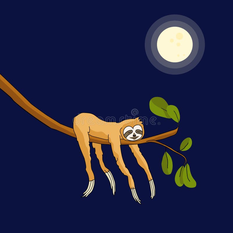 Adorable Sloth Sleeping on the Tree. Charming Sloth in the Light of the ...