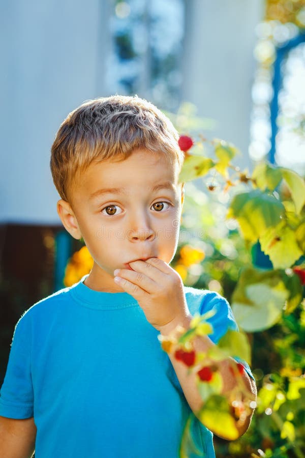 Adorable Small Boy Eats Raspberries Stock Photo - Image of cheerful ...