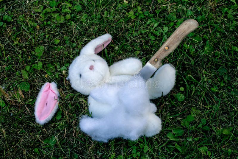 Stuffed Bunny Lying on the Floor Destroyed with a Knife Stock Image ...