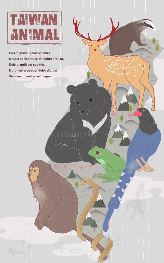 Adorable Taiwan Endemic Species Collection Stock Illustration ...