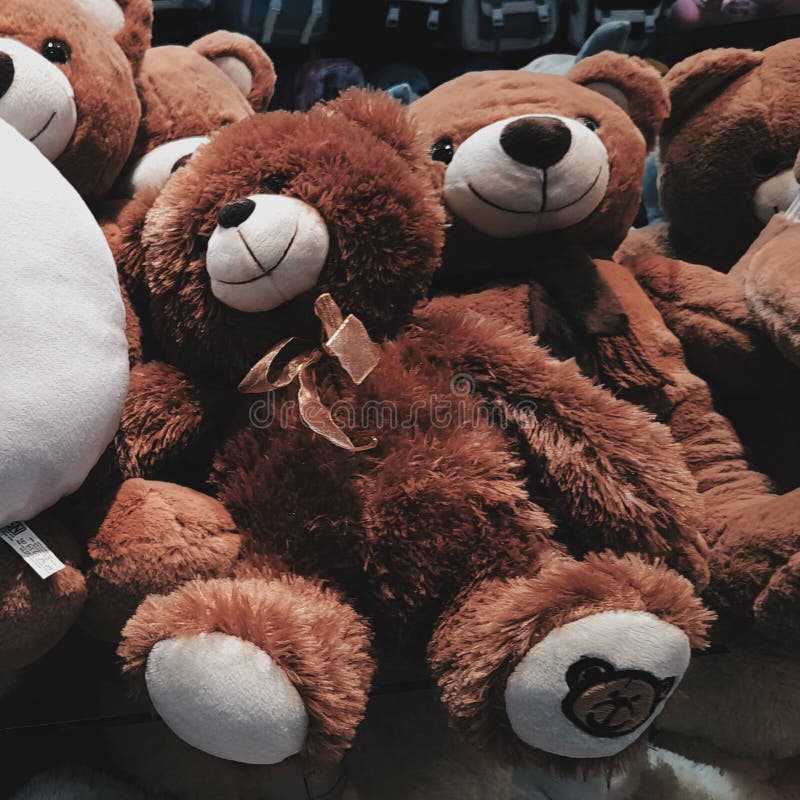 An Adorable Teddy Bear Ready To Be Your Friend Stock Image - Image of ...