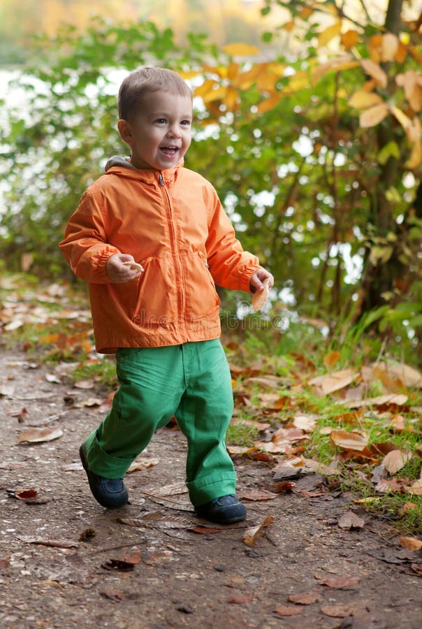 Adorable Toddler Boy at Fall Stock Photo - Image of seasonal, november ...