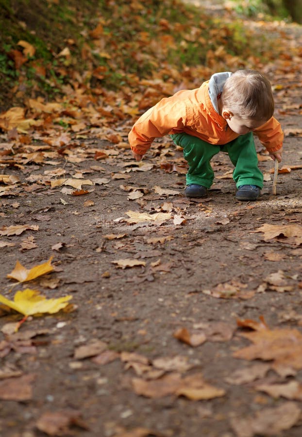 Adorable Toddler Boy at Fall Stock Image - Image of gather, season ...