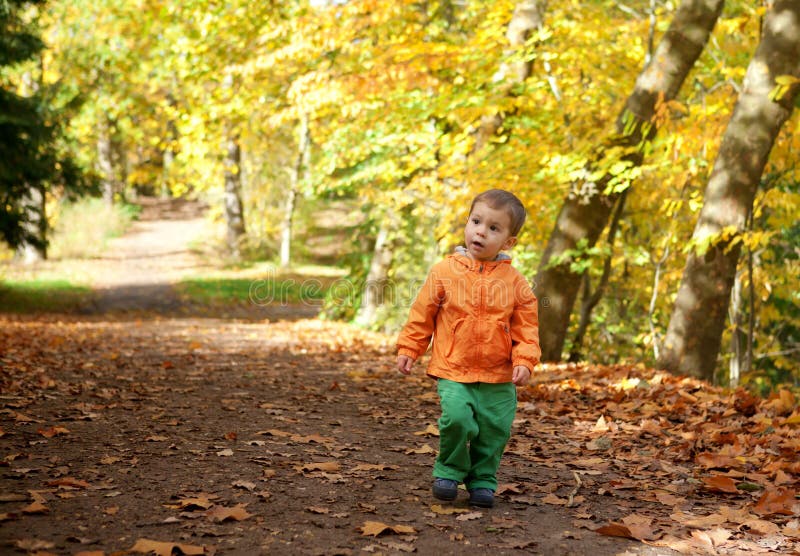 Adorable Toddler Boy at Fall Stock Photo - Image of park, toddler: 16847016