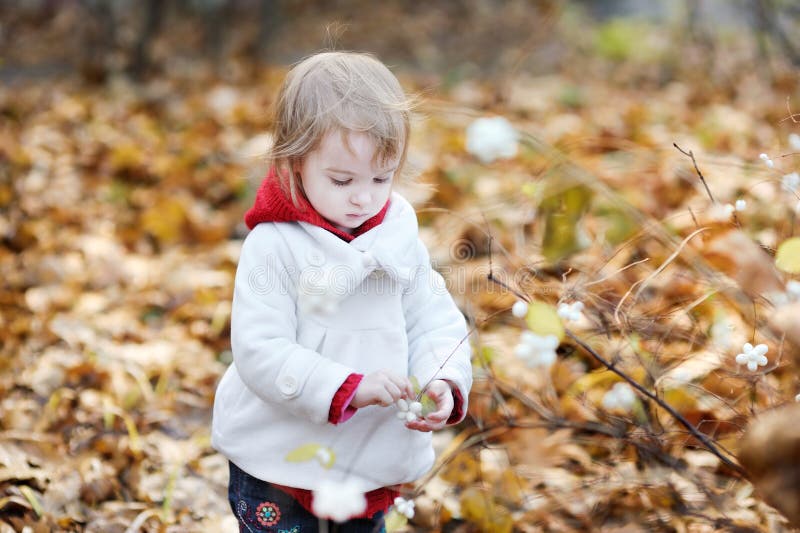 Adorable Toddler Having Fun on Autumn Day Stock Image - Image of little ...