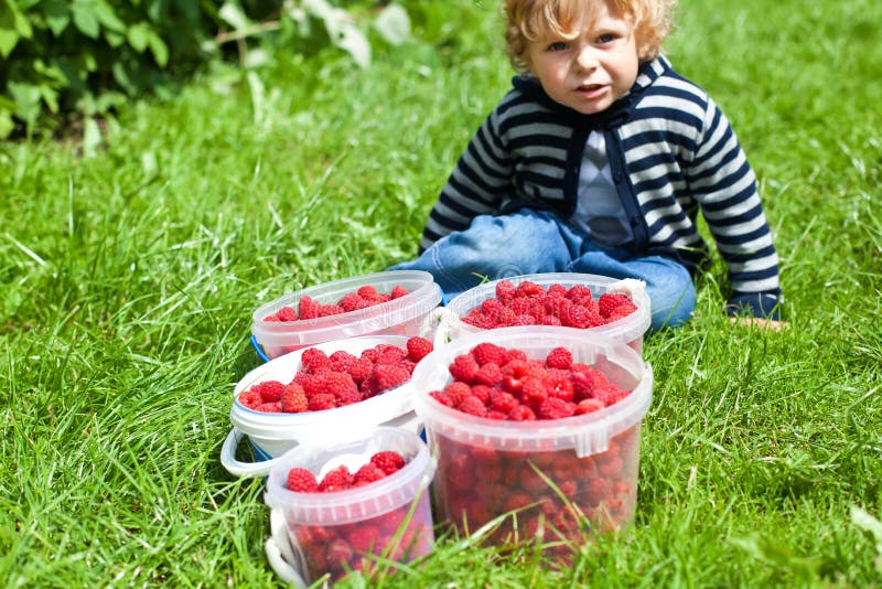 Adorable Toddler with Ripe Red Raspberries Stock Photo - Image of face ...