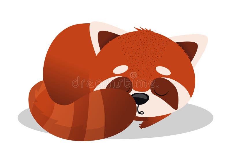 Adorable Vector Red Panda Sleeping Curled Up. Flat Cartoon Style Stock ...