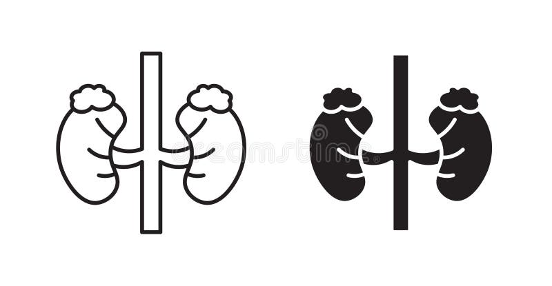 Adrenal Gland Thin Line Vector Icon Set Stock Vector - Illustration of ...