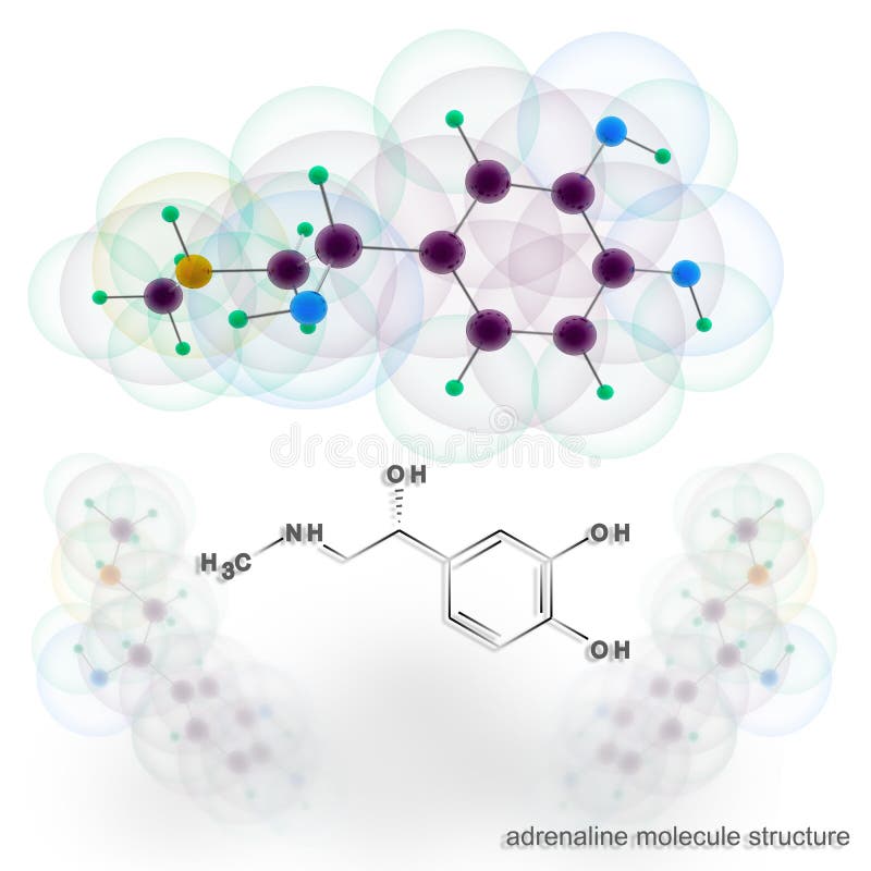 Adrenalin Molecule Structure Stock Illustration - Illustration of ...