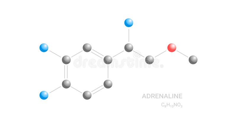 Adrenaline or Adrenalin, Epinephrine Neurotransmitter Molecule ...