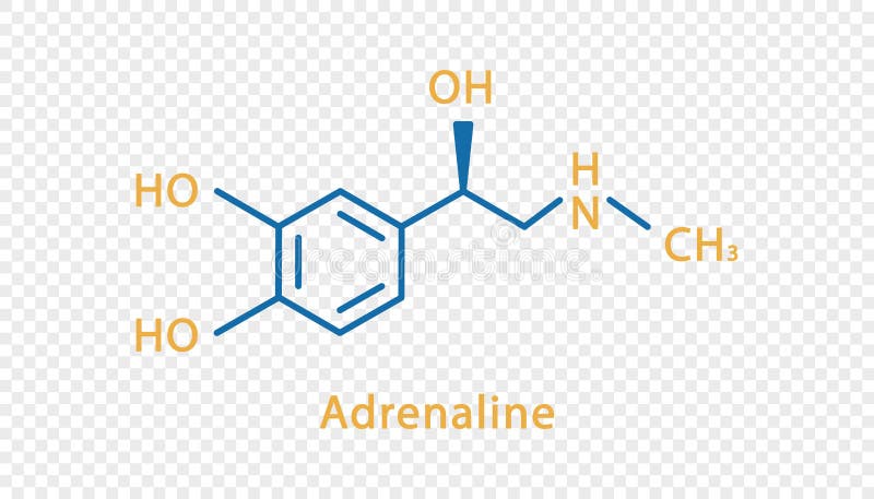 Adrenaline Chemical Formula. Adrenaline Structural Chemical Formula ...