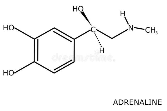 Adrenaline Molecule Structure with Its Name Isolated on White ...