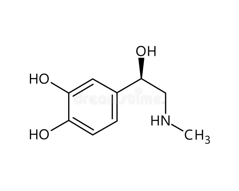 Adrenaline Structural Formula of Molecular Structure Stock Vector ...