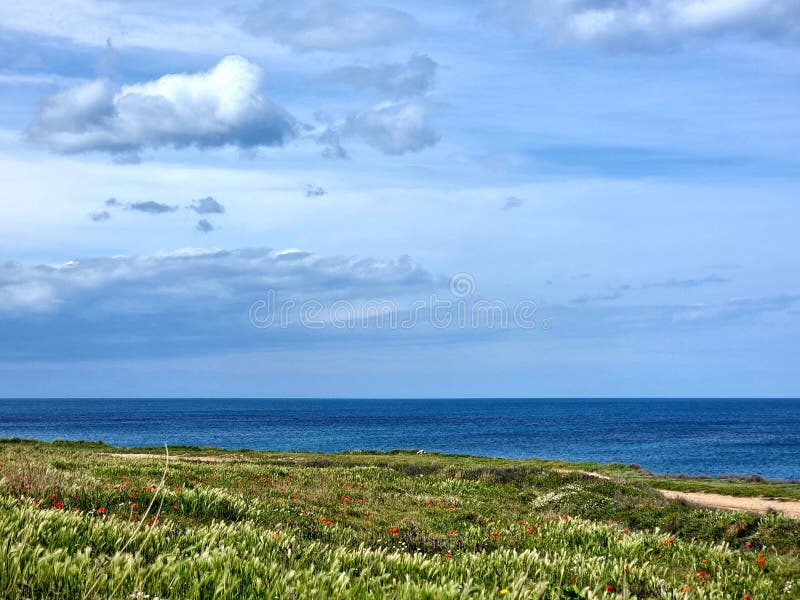 Adriatic Sea - Apulian Coast Stock Photo - Image of flowers, seaside ...