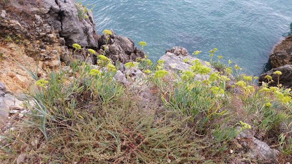 Small Bay by Adriatic Seaside with Pure Natural Stock Photo - Image of ...