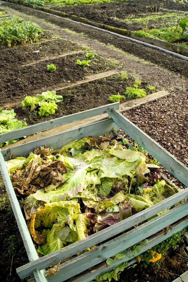 Adubar foto de stock. Imagem de pacote, jardim, apodrecimento - 1398254