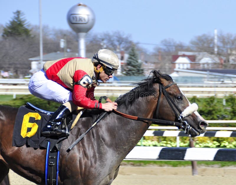 Adulator Que Ganha Na Pista Do Aqueduto Imagem de Stock Editorial ...