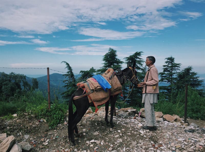 Adult, Animal, Carry Picture. Image: 109901607