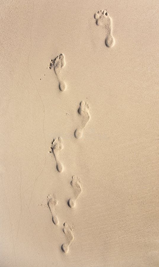 Adult Footprint in the Fine Sand at the Beach Stock Photo - Image of ...