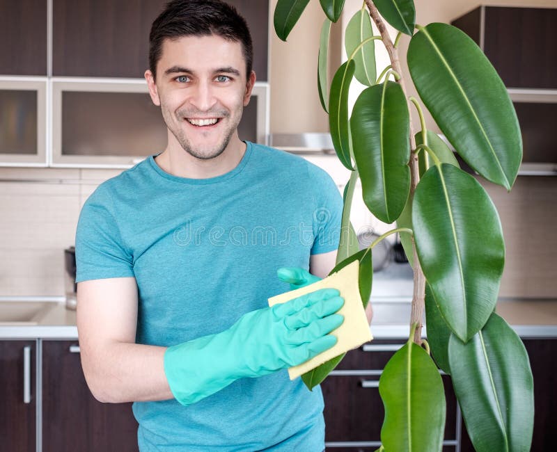 Adult Man Cleaning Pipal in Kitchen Stock Image - Image of equipment ...