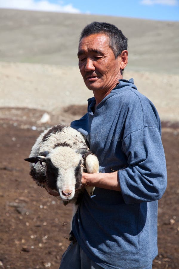 The adult man shepherd stock photo. Image of green, nomad - 37770372