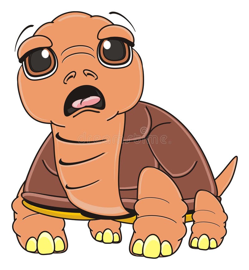 Adult surprise turtle stock illustration. Illustration of comic - 80997454