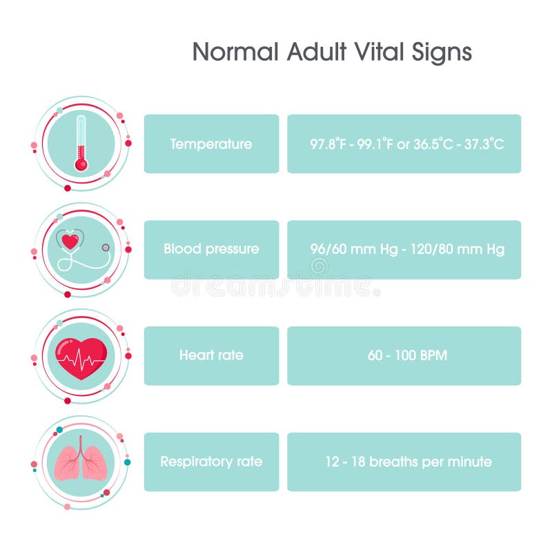 Normal Vital Signs Stock Illustrations – 16 Normal Vital Signs Stock ...