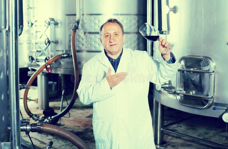 Wine Maker Controls Quality of Wine Stock Photo - Image of tasting ...