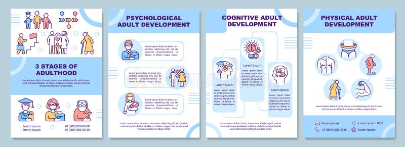 Adulthood Development Brochure Template Stock Vector - Illustration of ...