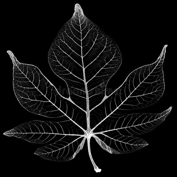 Advance of life form stock illustration. Illustration of refinement ...