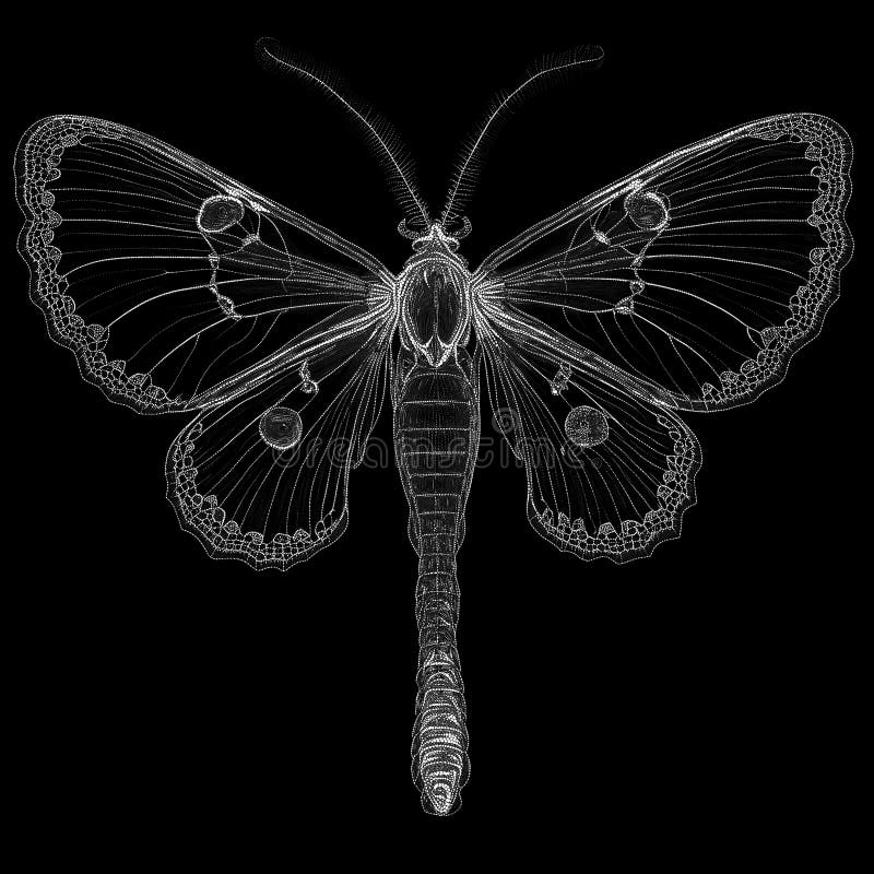 Advance of life form stock photo. Image of unadorned - 322402020