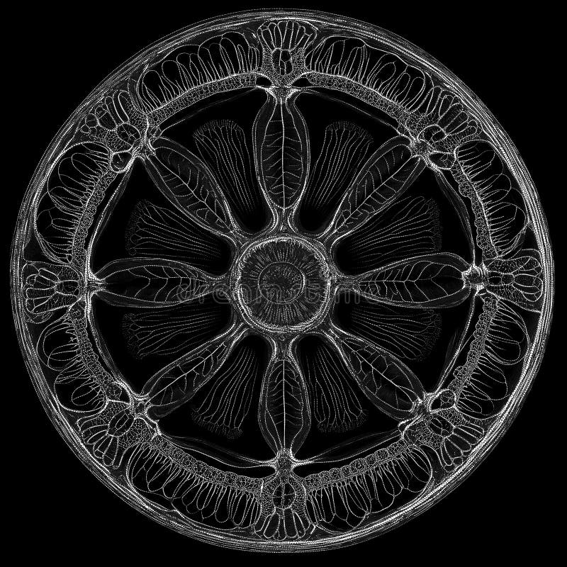 Advance of life form stock illustration. Illustration of depiction ...