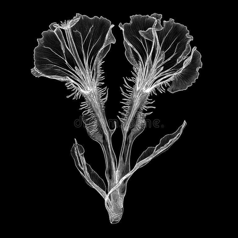 Advance of life form stock illustration. Illustration of contour ...