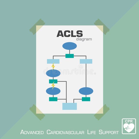Advanced Cardiovascular Life Support ACLS Diagram . Flat Design Stock ...