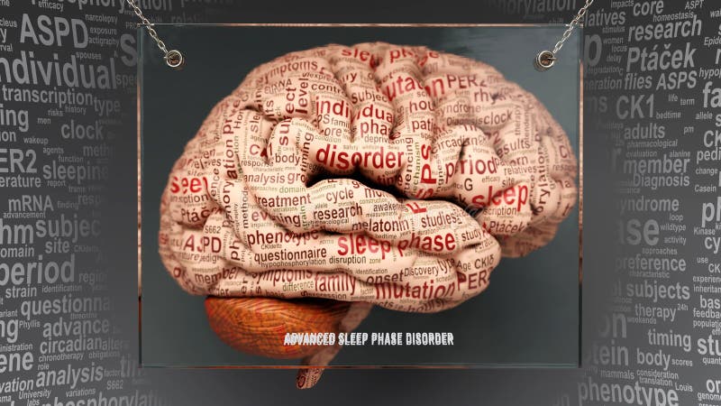 Advanced Sleep Phase Disorder in Human Brain Stock Illustration ...