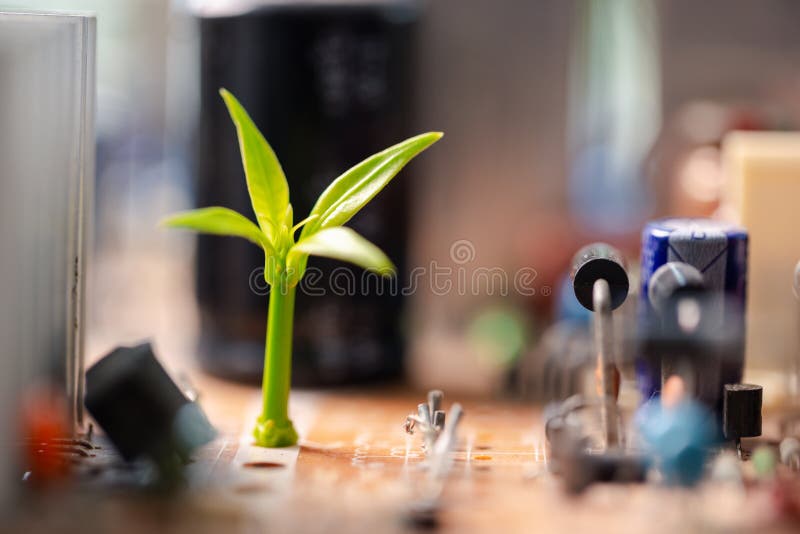 Advancements in Electronic, Digital Technology are Driving Green ...