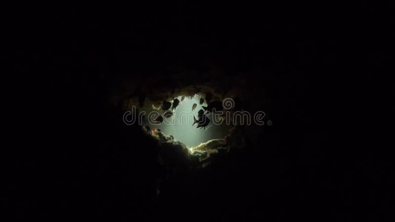 Advancing through a Narrow Underwater Cave with Backlit Fish Stock ...