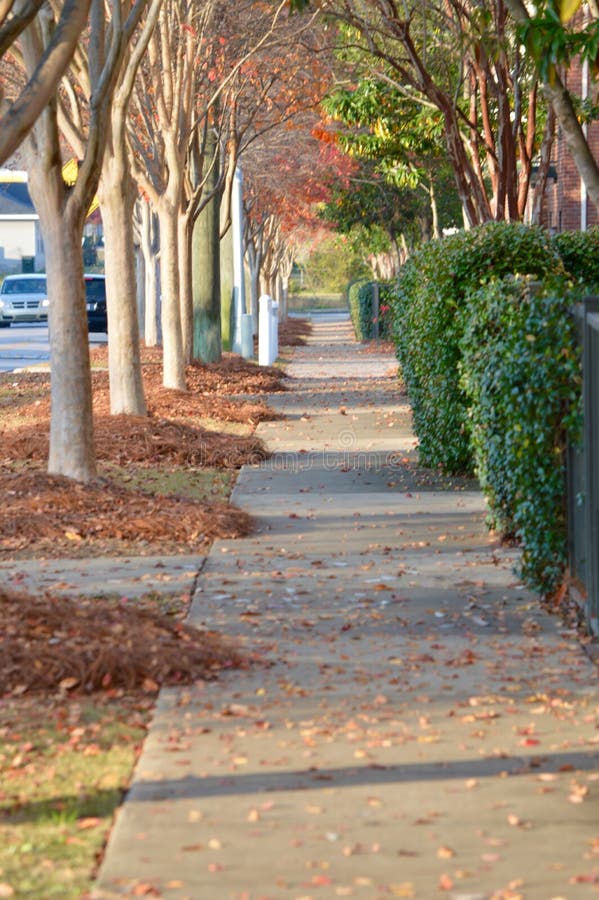 Adventure Begins at the Beginning of a Path Stock Photo - Image of ...